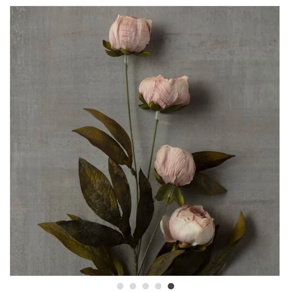 Ashland | Accents | Ashland Tan Peony Stems 8 Count | Poshmark